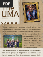 Mamanwa Tribe-Wps Office | PDF