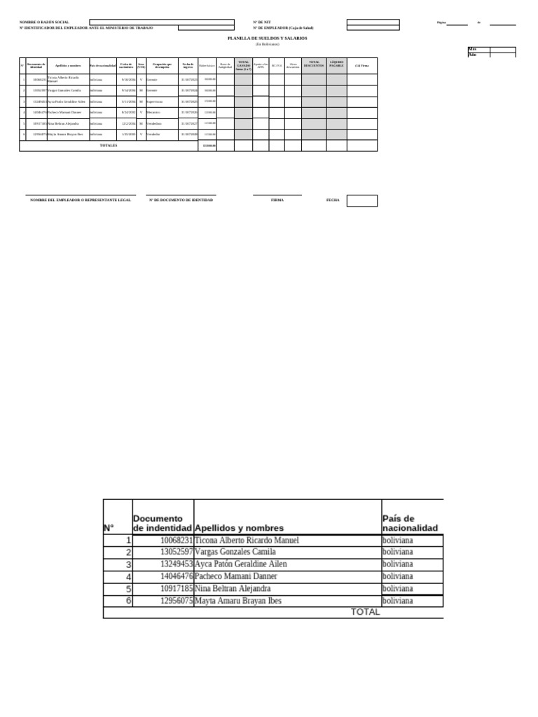 Formato Planilla Mensual-1 | PDF | Documento de identidad | Gobierno