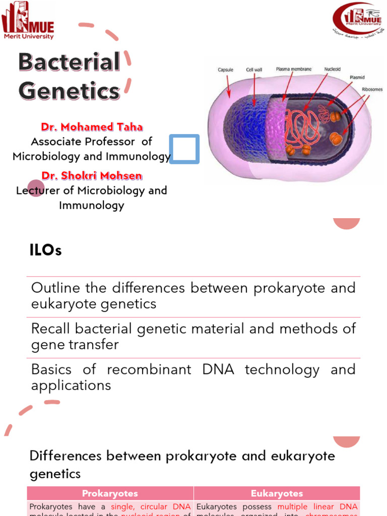 Bacterial Genetics Pdf Plasmid Bacteriophage