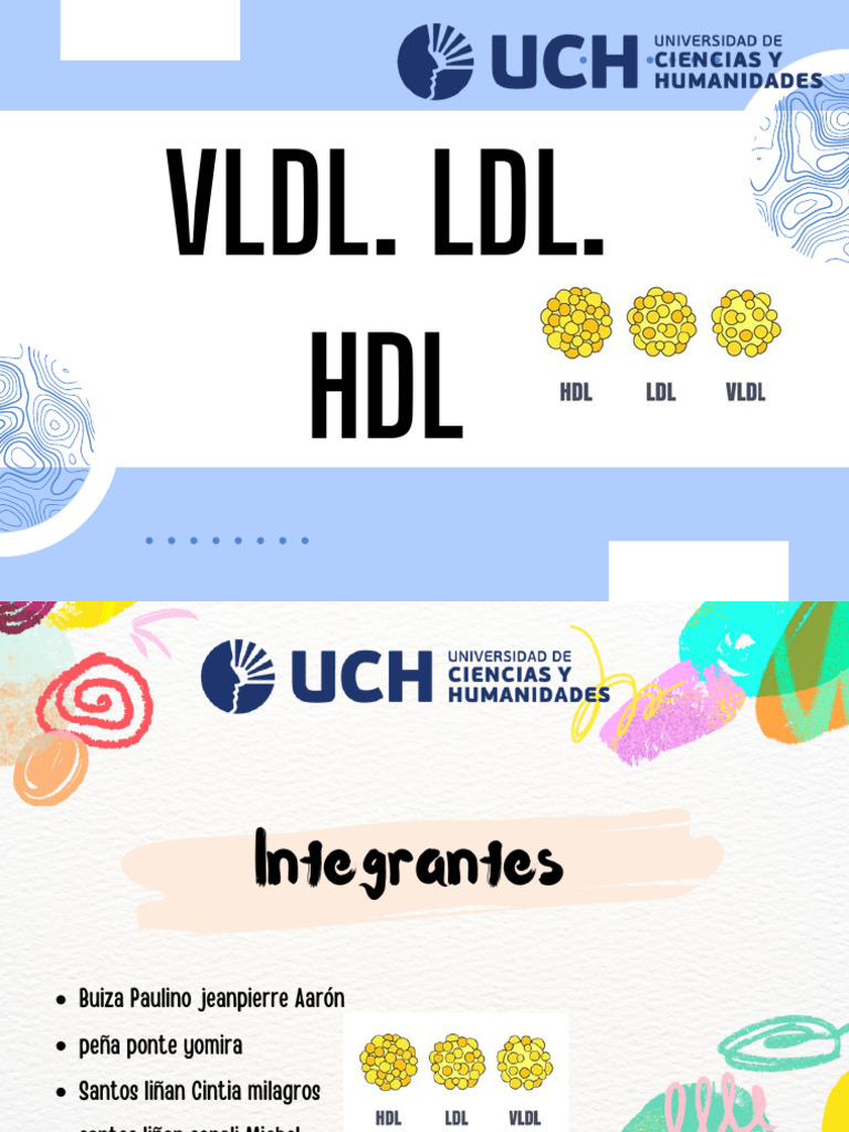 VLDL LDL HDL | PDF | Lipoproteína de alta densidad | Lipoproteína