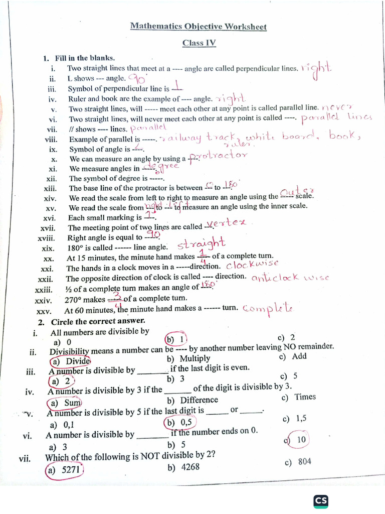Maths Solved Objective Worksheet | PDF