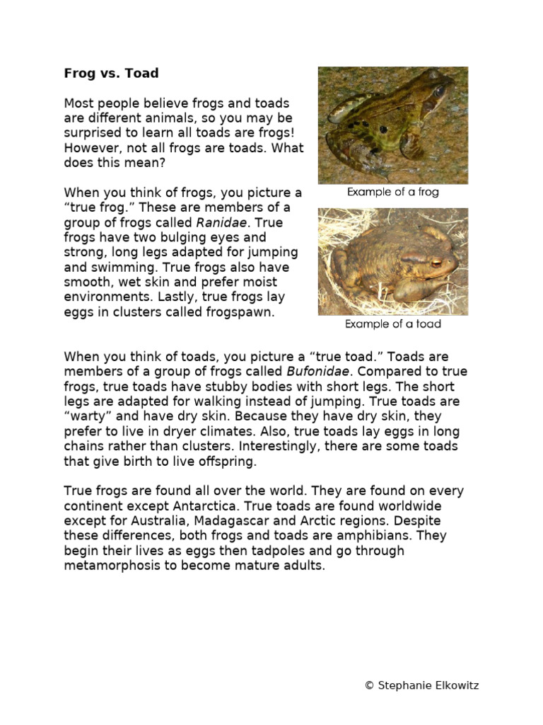 Differences Between Frogs and Toads | PDF | Science & Mathematics