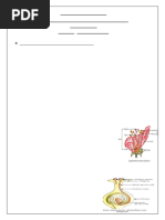 CSEC Integrated Science Syllabus Revised | PDF