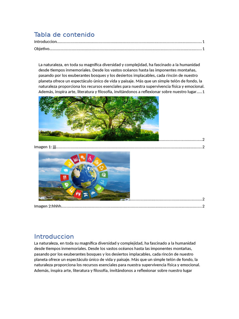 Tabla de Contenido | PDF