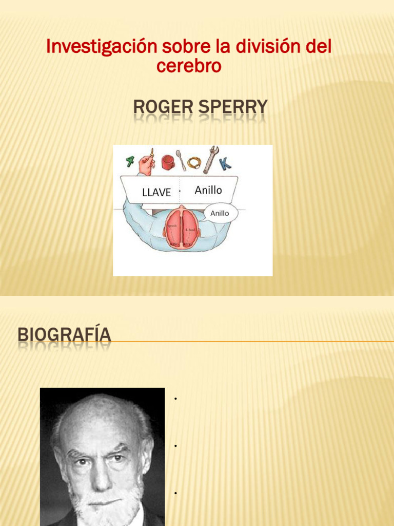 Investigación de Roger Sperry sobre el cerebro | PDF | Hemisferio ...
