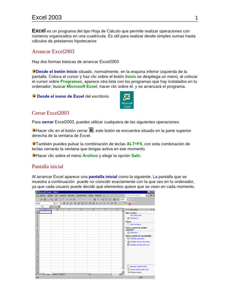 Manual Excel 2003 | PDF | Hoja de cálculo | Botón (Computación)