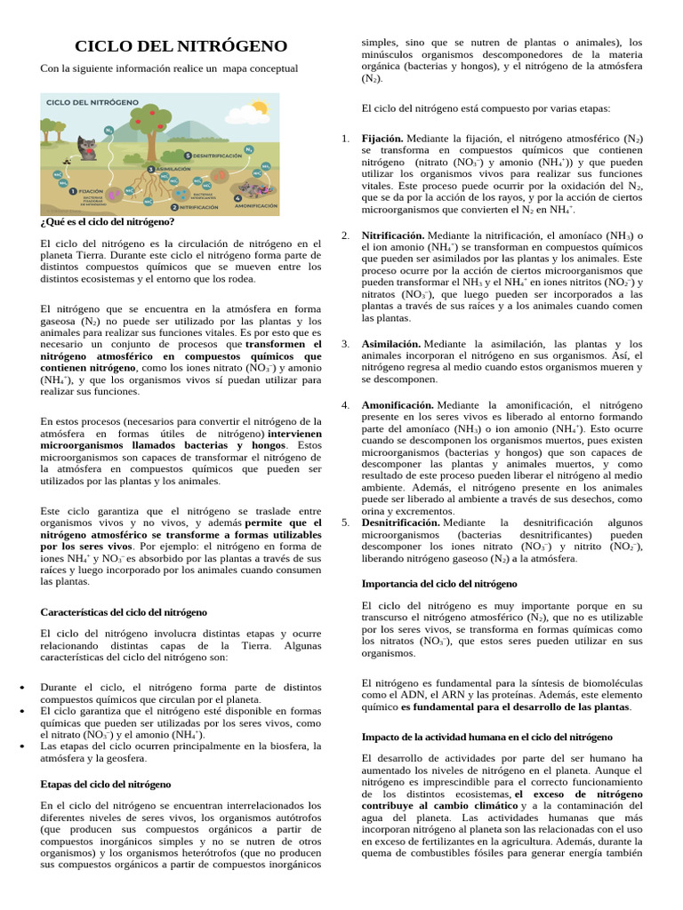 Ciclo Del Nitrógeno | PDF | Nitrógeno | Naturaleza