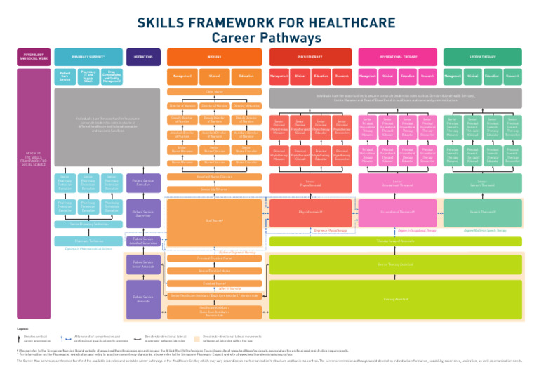 Healthcare_Career Pathways | PDF | Physical Therapy | Pharmacy