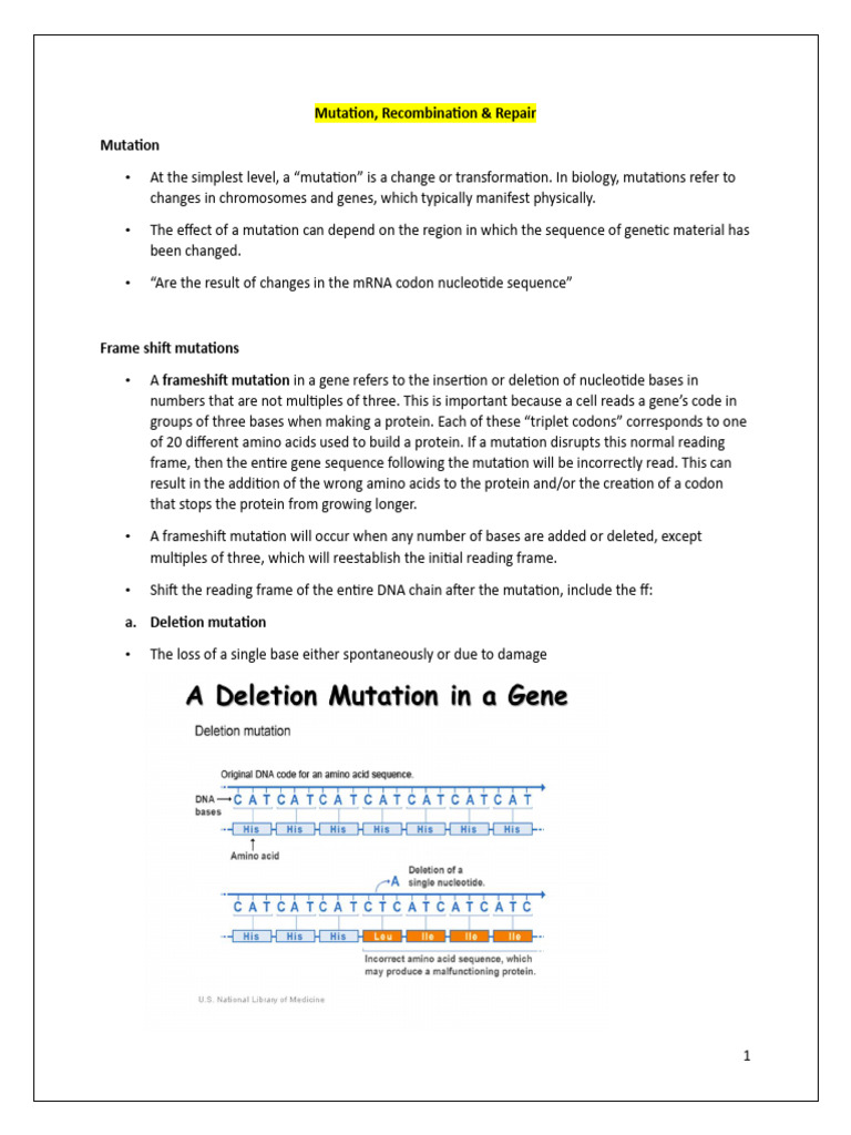 Mutation Recombination Repair | PDF | Dna | Dna Repair
