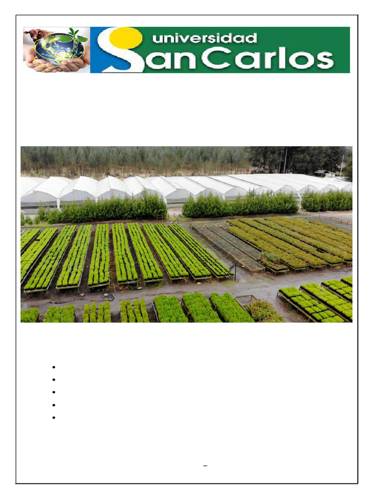 Vivero Forestal: Guía de Construcción y Tipos | PDF | Fertilizante ...