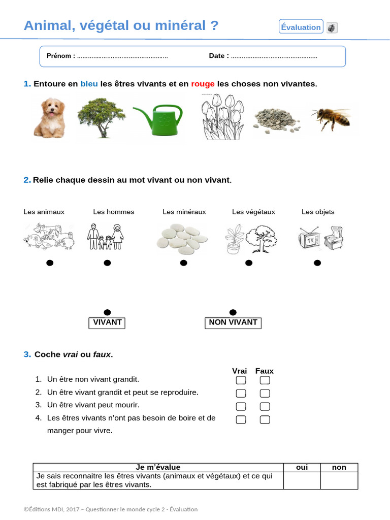 Évaluation : Vivant ou Non Vivant ? | PDF
