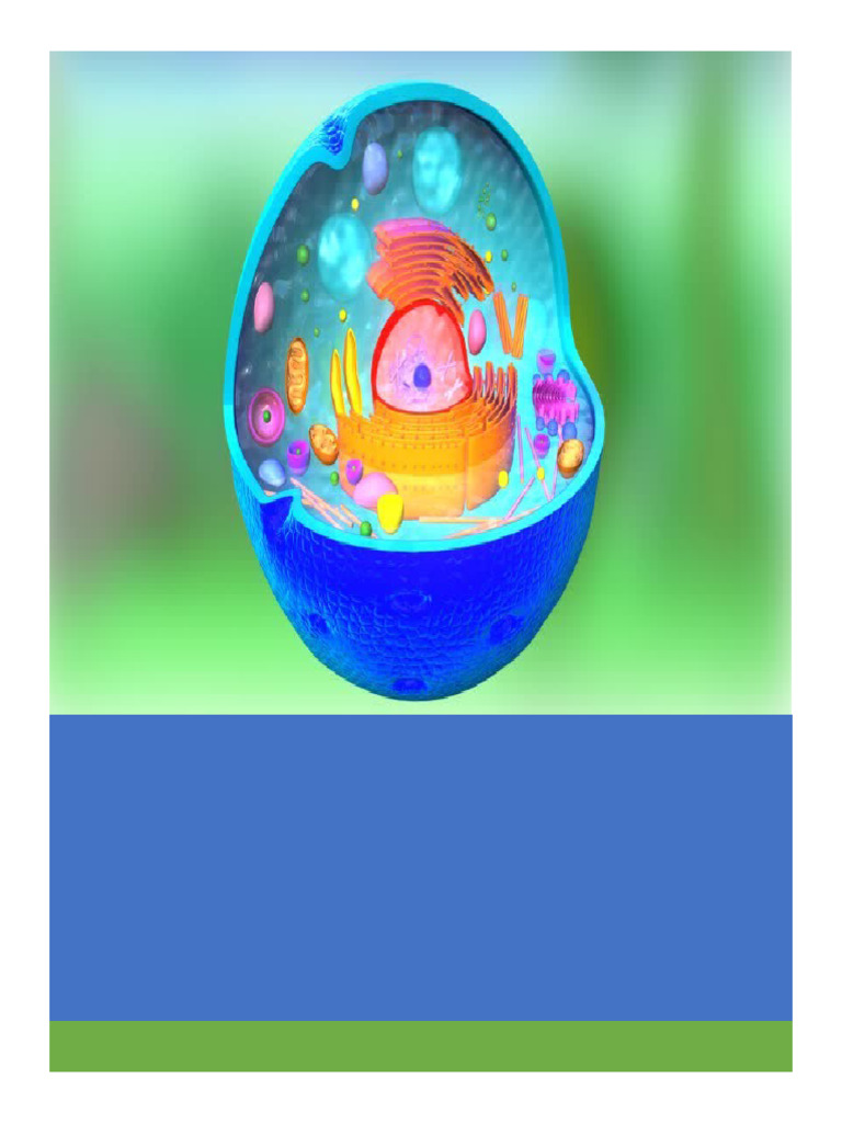 Cell Project | PDF | Cell (Biology) | Endoplasmic Reticulum