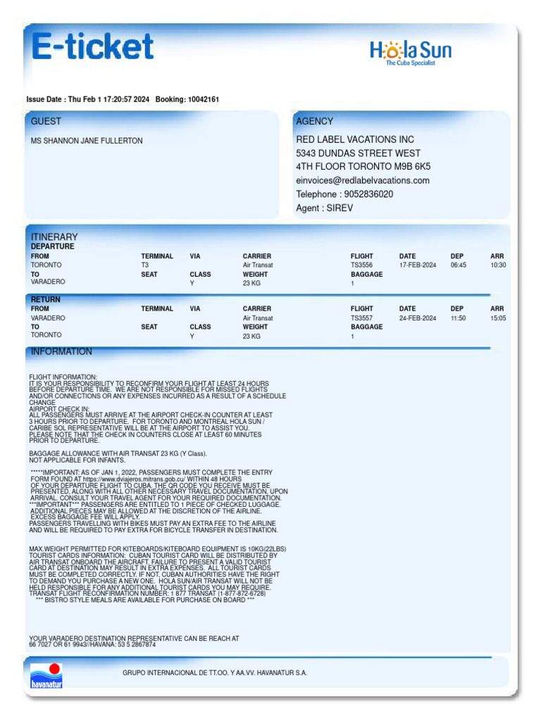 HOL RTV 10042161 820233 Edocs | PDF | Baggage | Aviation