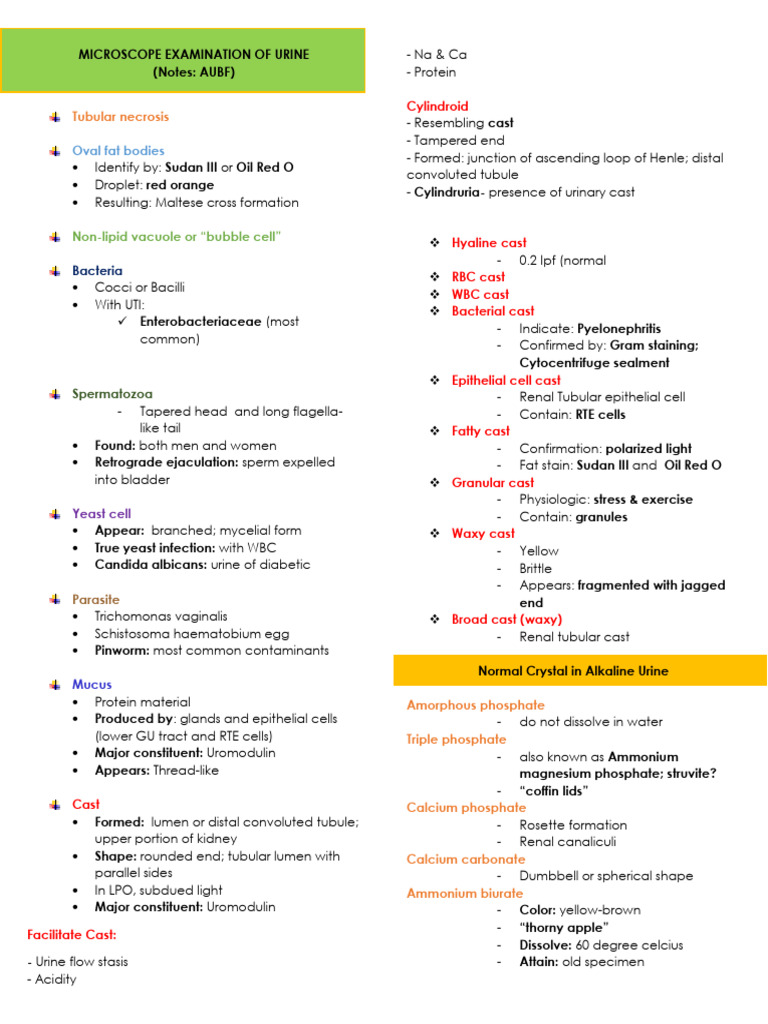 MICROSCOPE EXAMINATION OF URINE | PDF