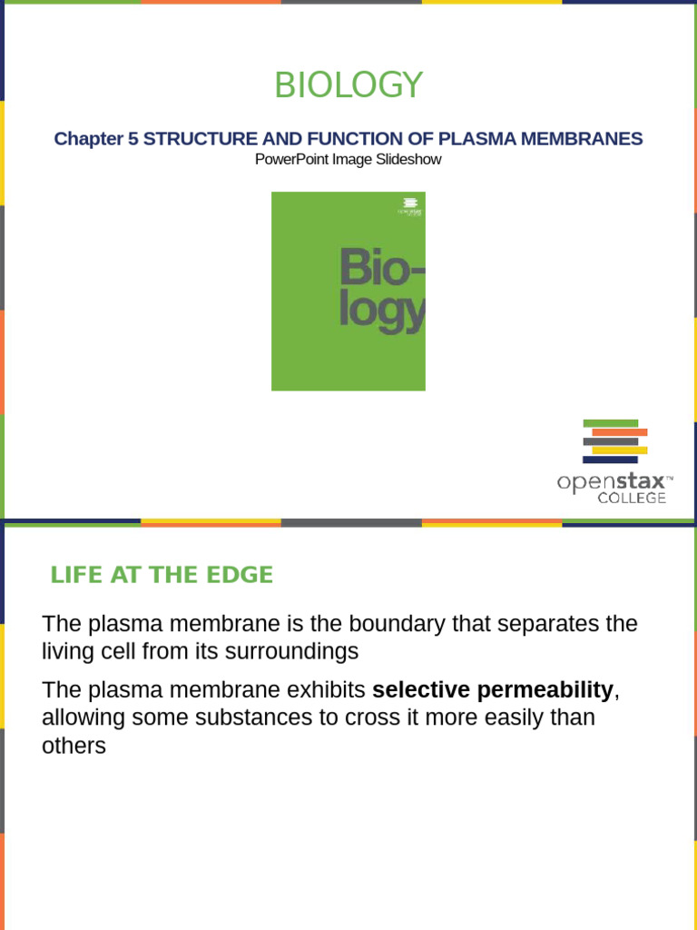 Biology-2 | PDF | Cell Membrane | Phospholipid