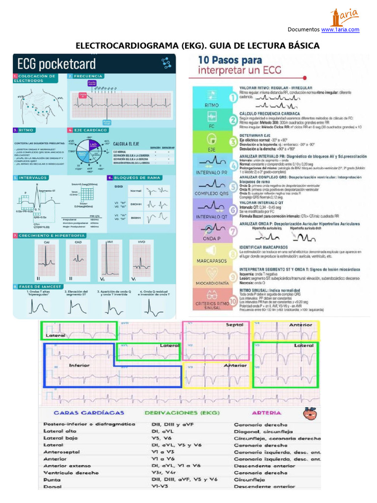 Guía Básica de Electrocardiograma | PDF