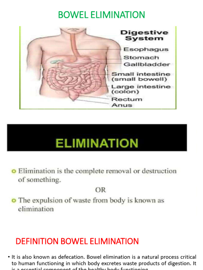 Bowel Elimination 035706 | PDF | Hemorrhoid | Constipation
