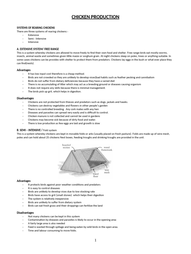 11.Notes - Chicken Production | PDF | Chicken | Poultry Farming