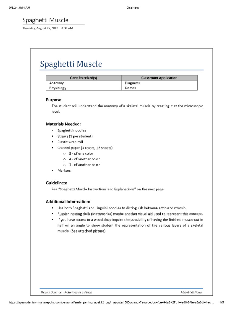Spaghetti Muscle Activity | PDF | Computers | Technology & Engineering