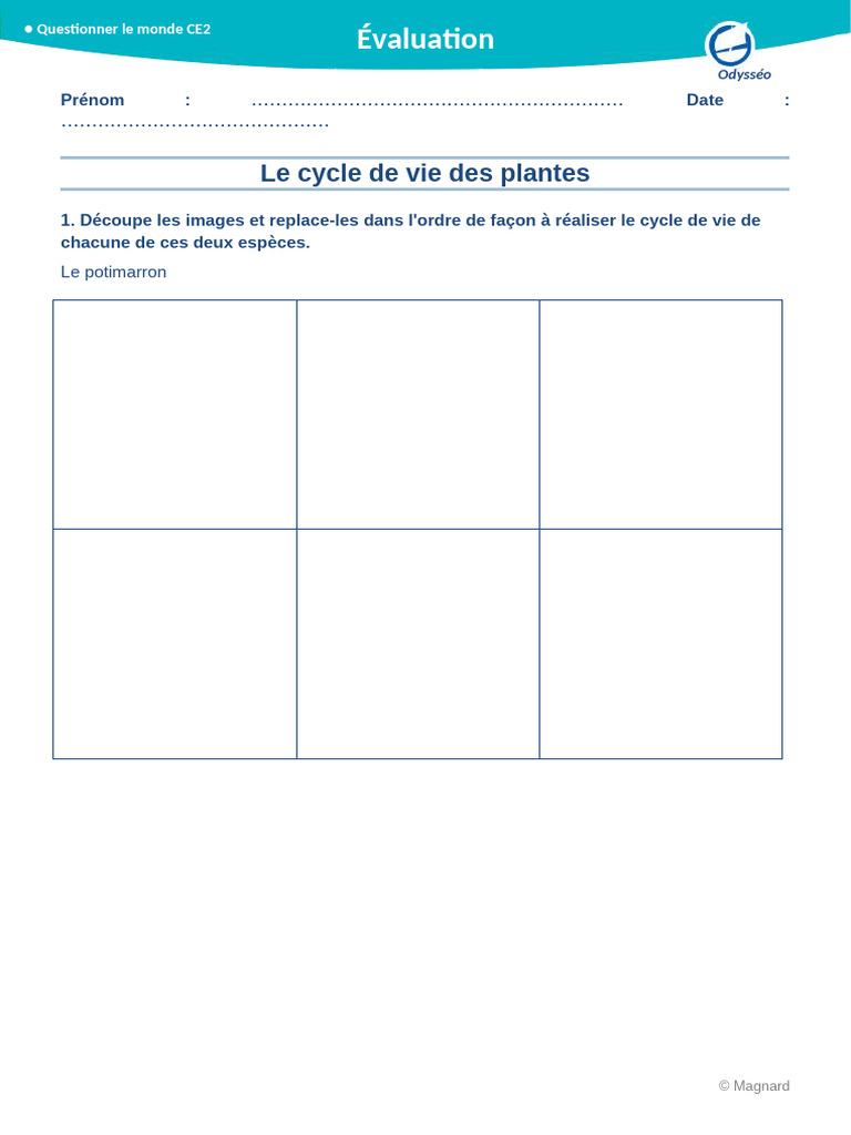 Évaluation du cycle de vie des plantes CE2 | PDF | Sciences et ...