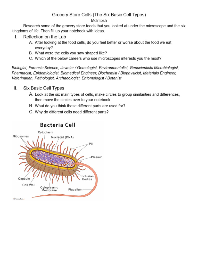 2 - Grocery Store Cells (The Six Basic Cell Types) | PDF