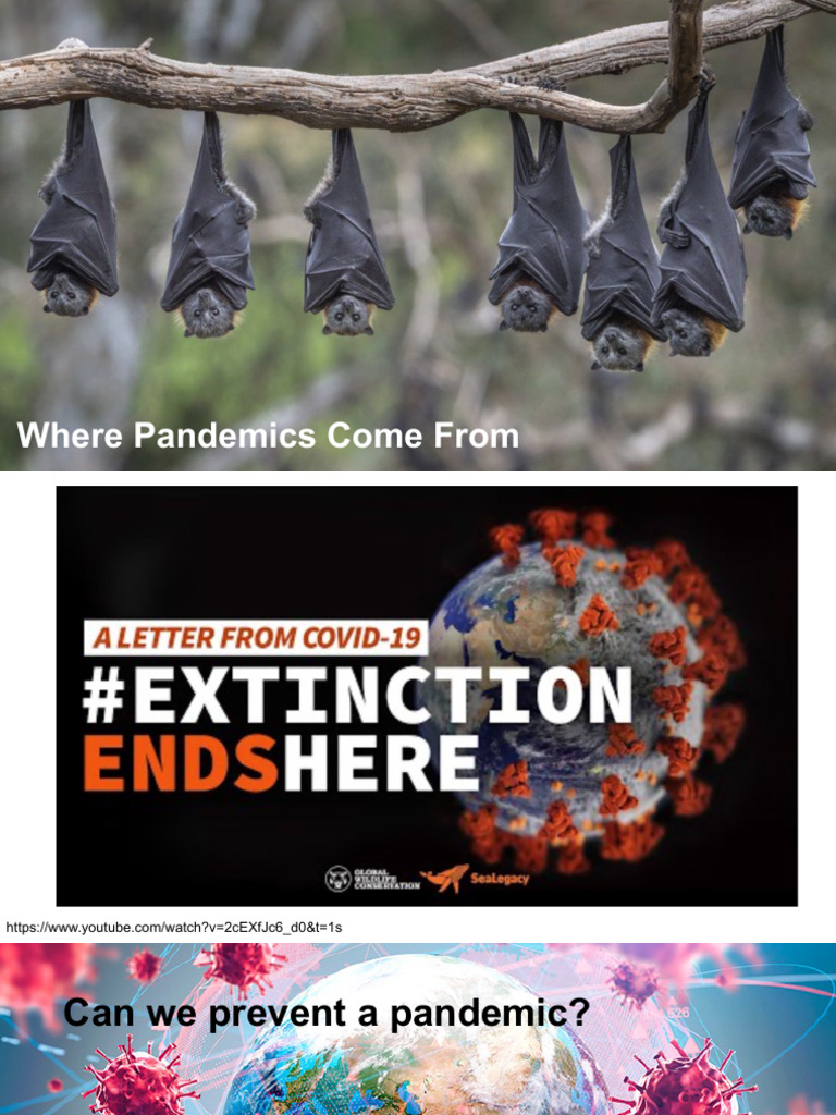 Pandemic Response Simulation | PDF | Influenza A Virus Subtype H5 N1 ...