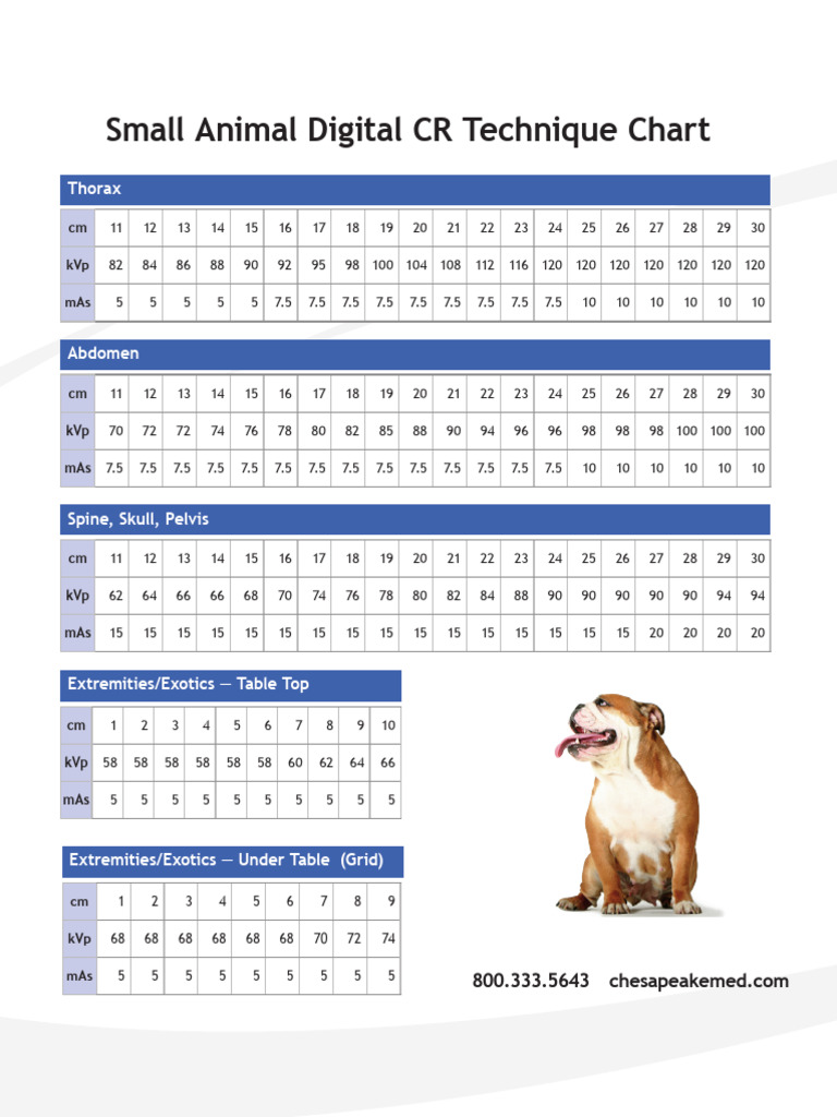 Sound Eklin Fuji Small Animal Technique Chart 091311v2 | PDF