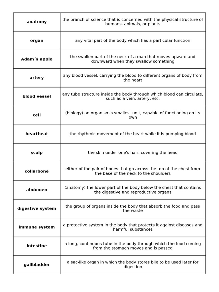 Body Parts - B2 - Mix and Match | PDF | Anatomy | Digestion