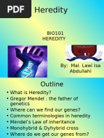 Genetics Simplified Notes | PDF | Dominance (Genetics) | Genetics