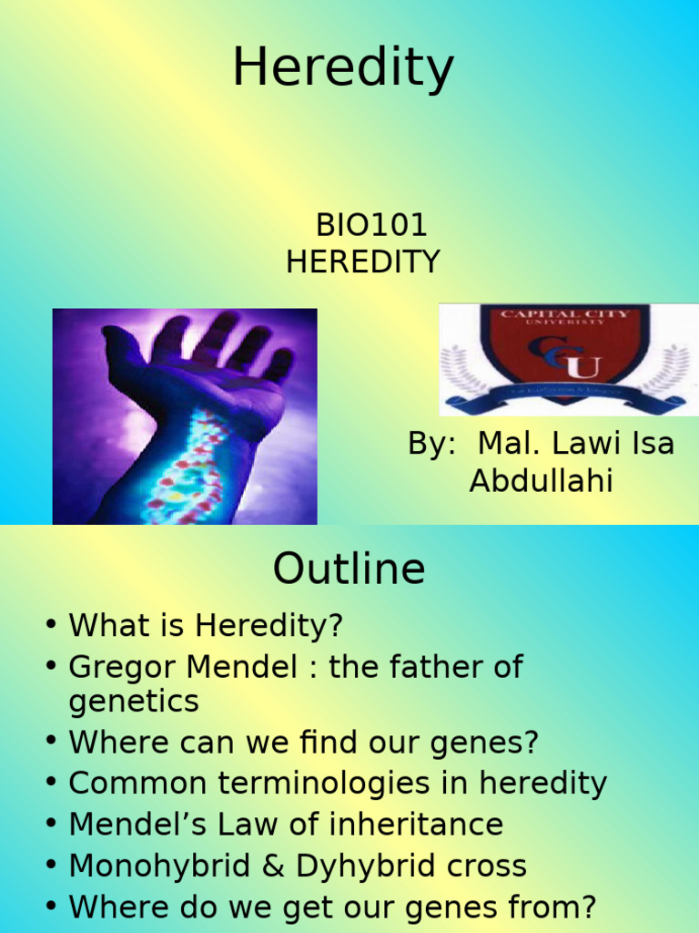 Genes and Heredity 2 | PDF | Dominance (Genetics) | Allele