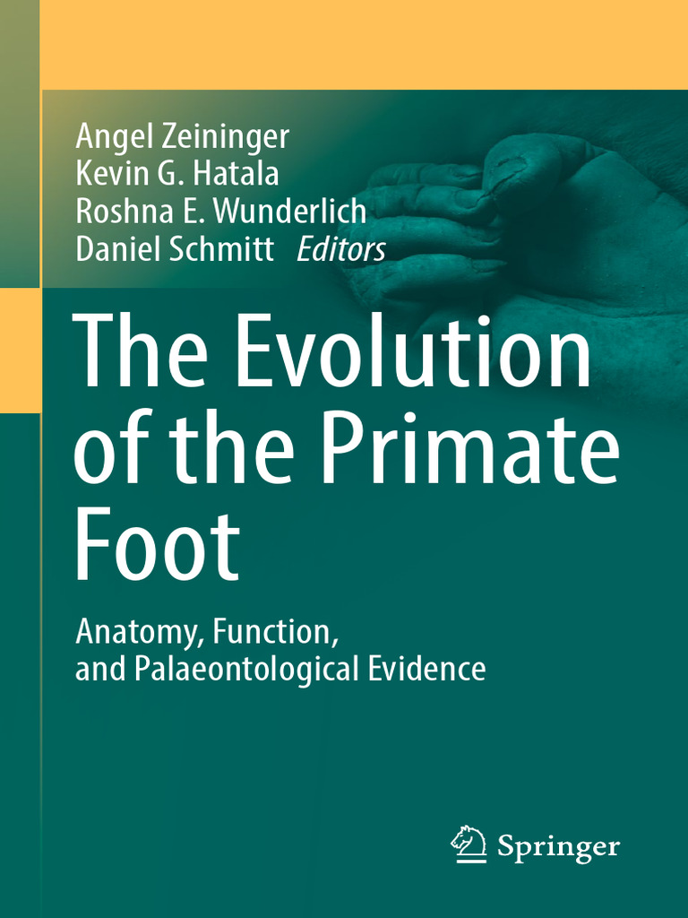 Evolution of the Primate Foot Insights | PDF | Bipedalism | Foot
