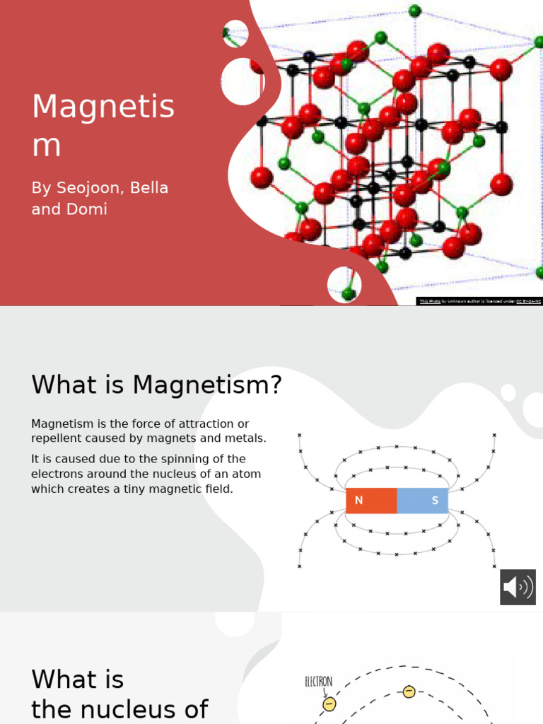 Magnetism | PDF