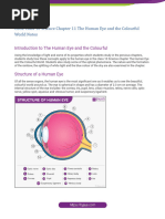 Important Questions on Human Eye for Class 10 | PDF | Light | Eye