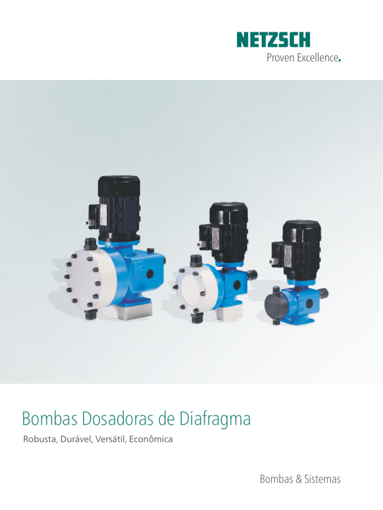 Netzsch - Bomba Dosadora de Diafragma - Sera | PDF | Bomba | Válvula