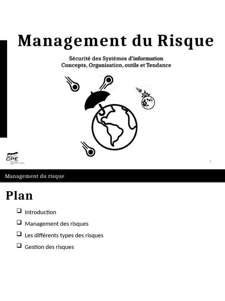 Chapitre1 - Management Des Risques | PDF | Risque | Gestion des risques