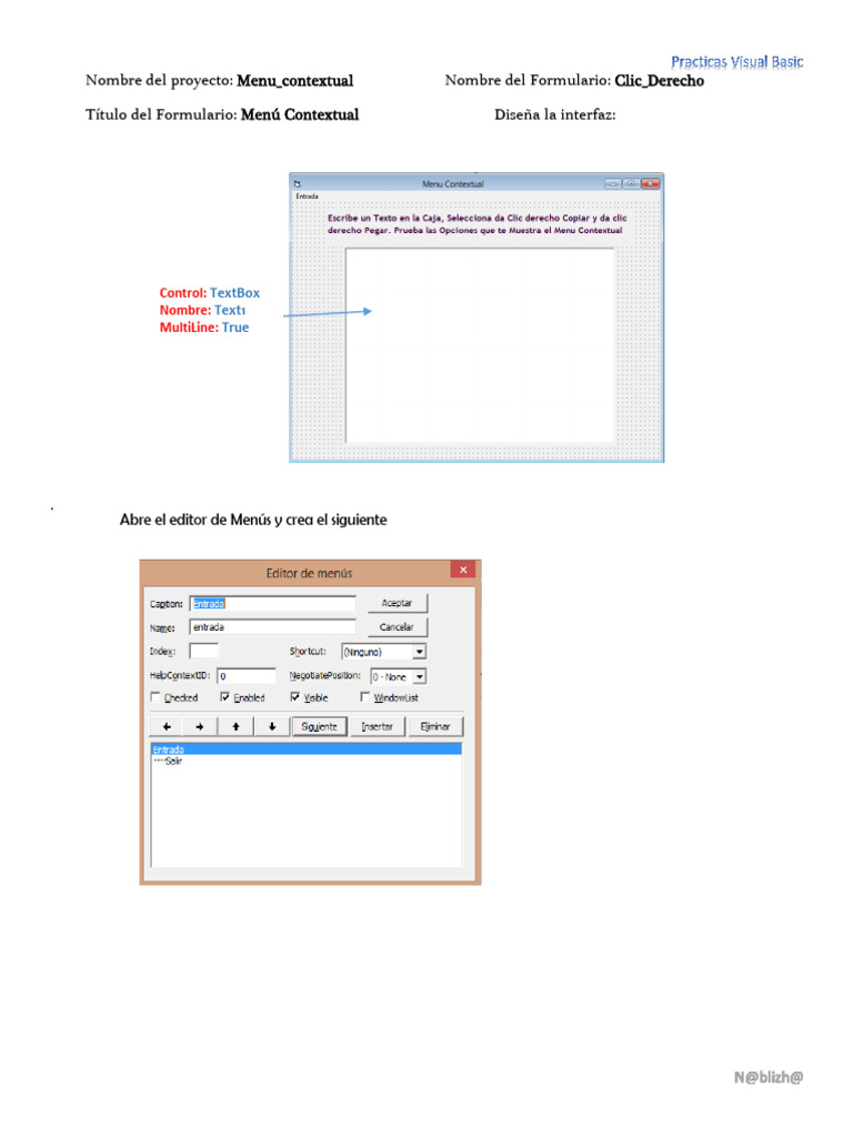 Menu Contextual Interfaz | PDF