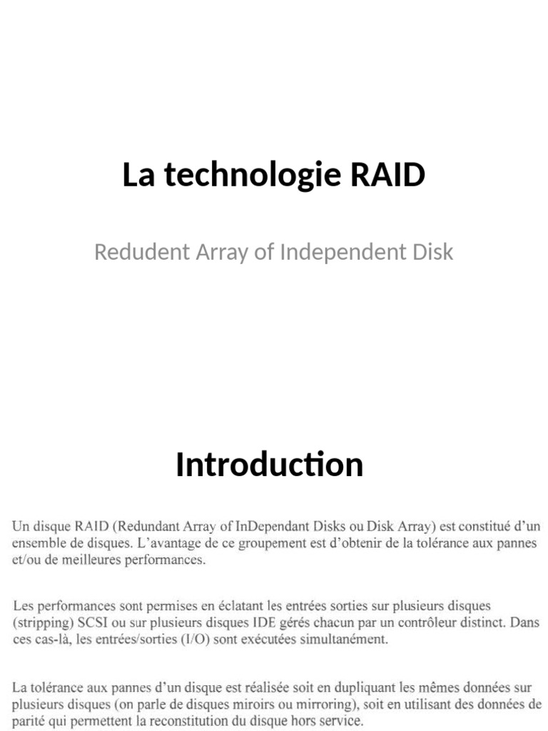 Raid | PDF