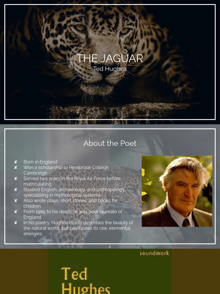 The Jaguar - Ted Hughes | PDF | Poetry