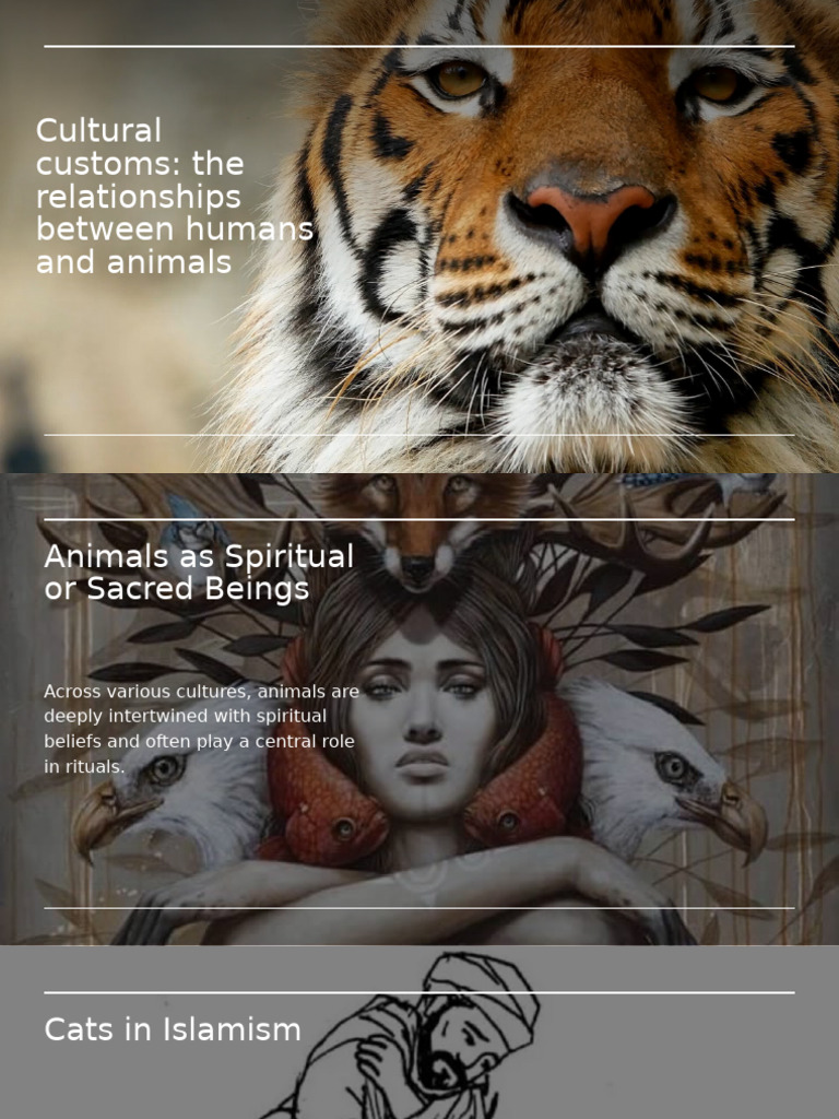 Animals Sacred | PDF | Philosophy