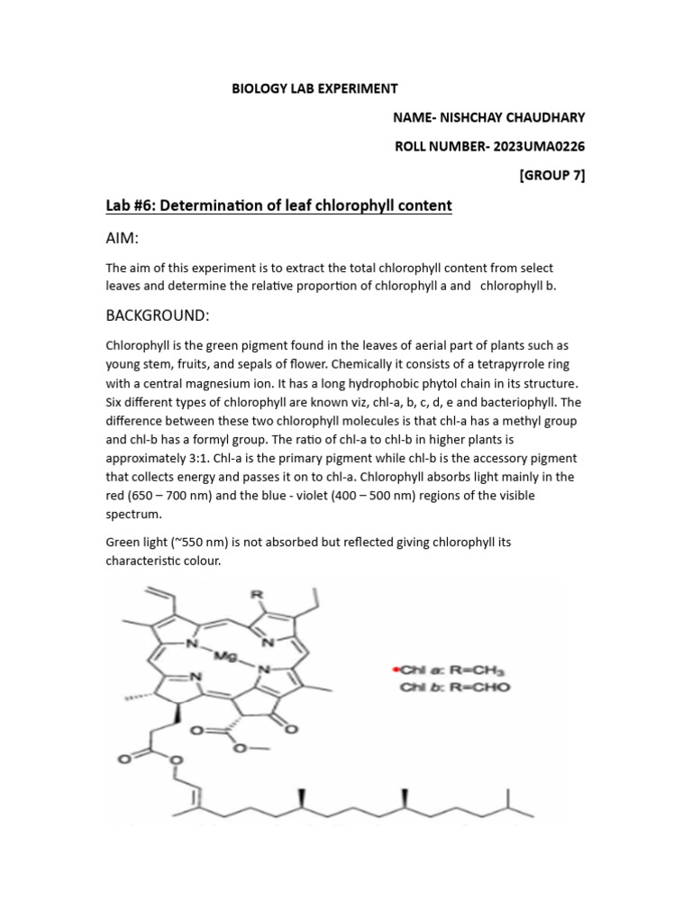biolab 6 | PDF | Chlorophyll | Plants