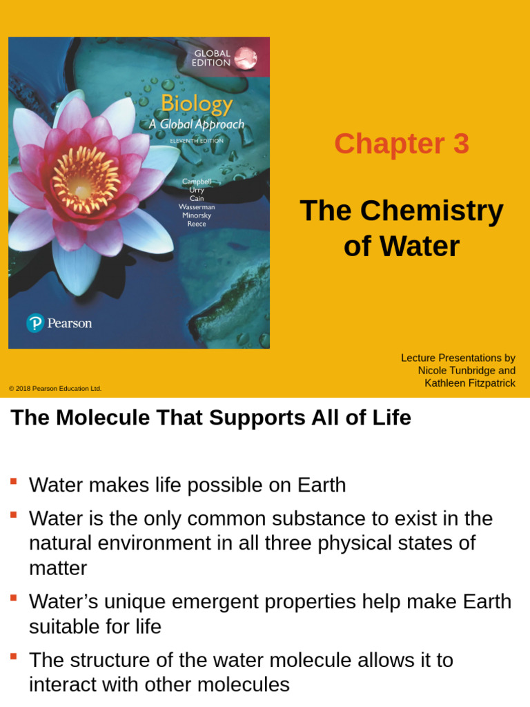 Properties of Water in Biochemistry | PDF | Water | Chemical Polarity