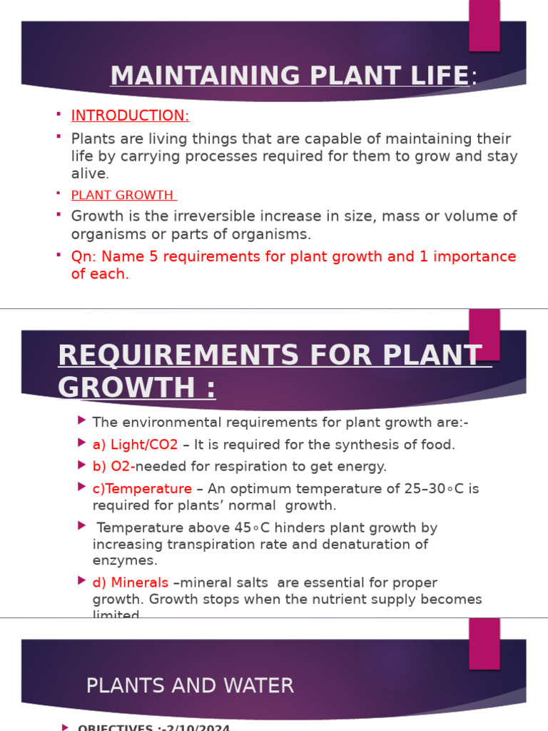 Maintaining Plant Life | PDF | Stoma | Root
