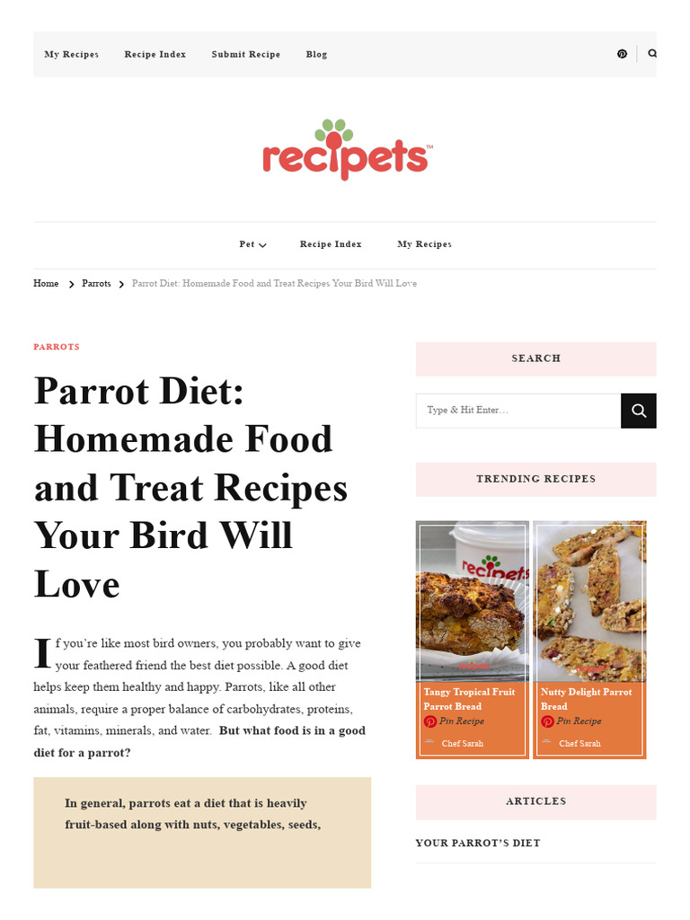 Parrot Diet - Homemade Food and Treat Recipes Your Bird Will Love ...