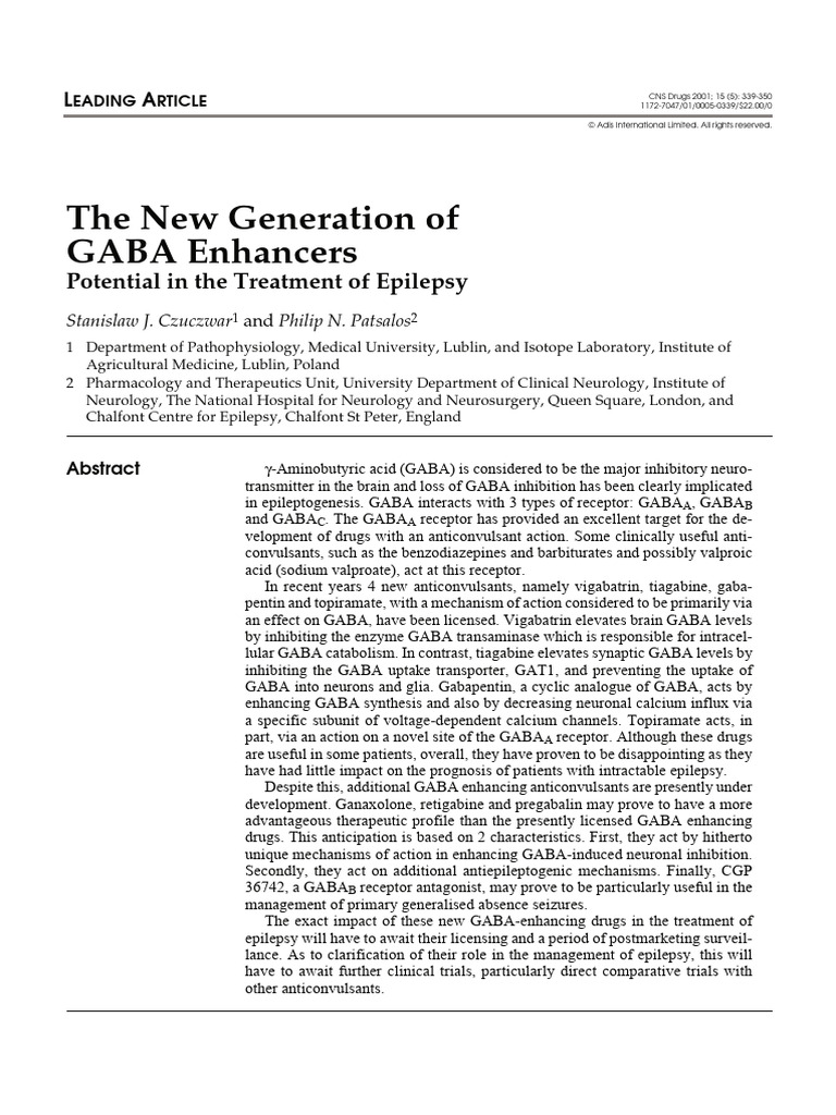 The New Generation of GABA Enhancers | PDF | Inhibitory Postsynaptic Potential | Chemical Synapse