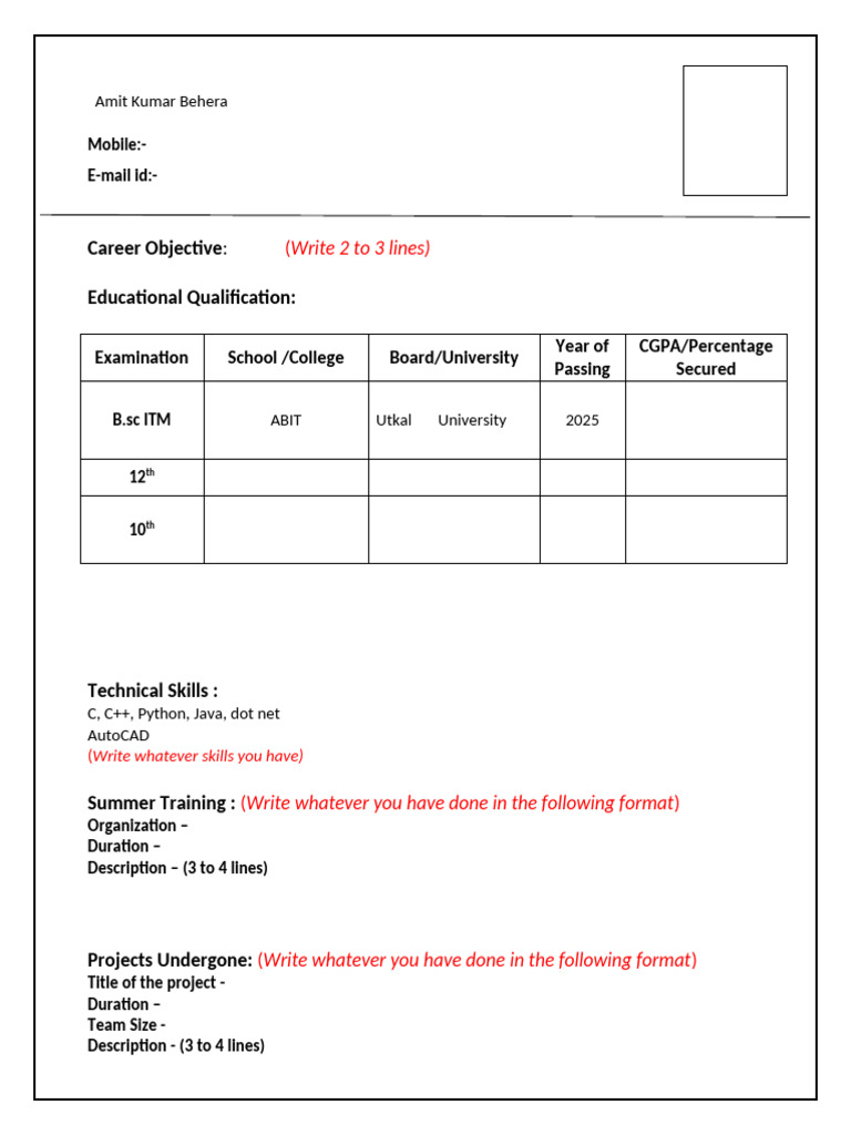 CV Format Bsc. ITM | PDF