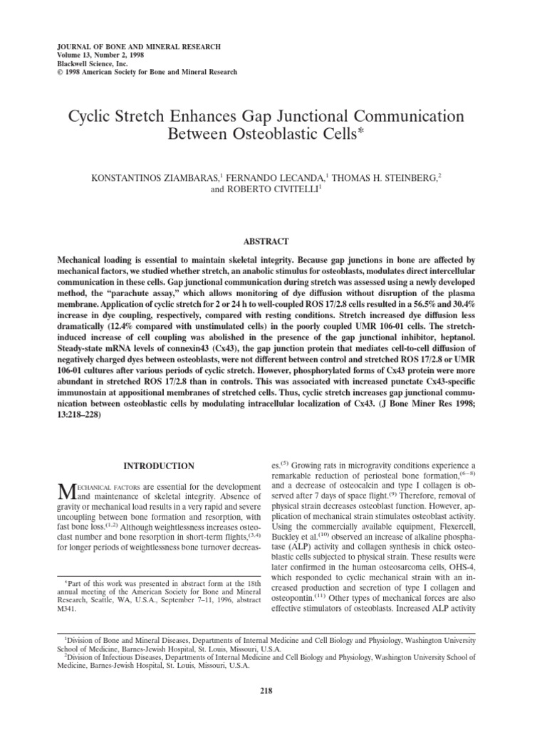Cyclic Stretch Enhances Gap Junctional Communication Between ...