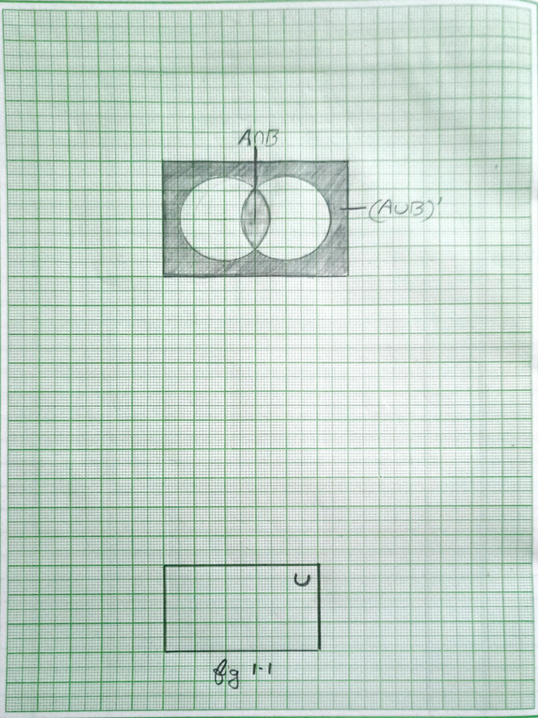 Math Record Weird Ahh | PDF