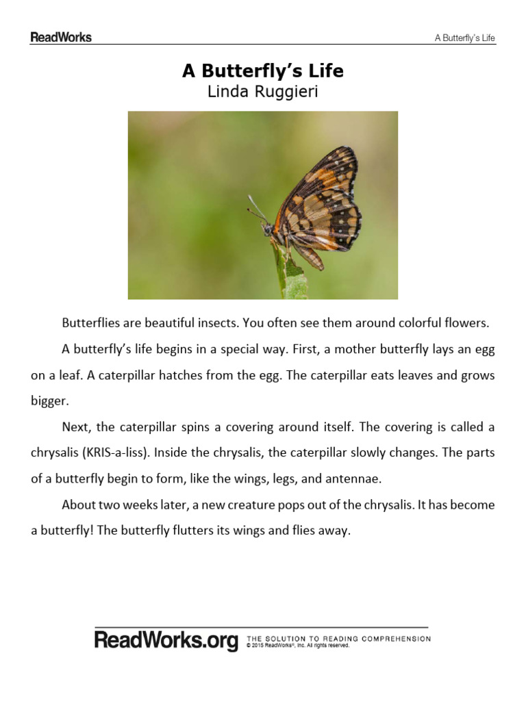 Reading Comprehension - A BUTTERFLYS LIFE | PDF | Butterfly | Pupa