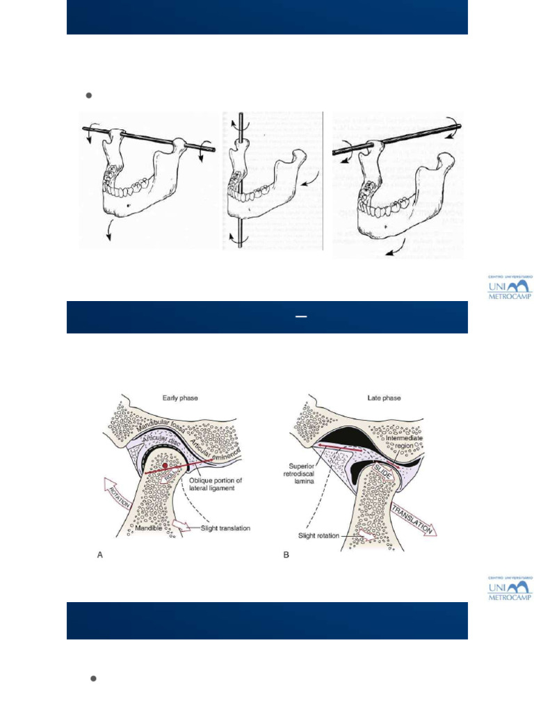 Cranio Mandibular - ATM Parte 2 | PDF | Doenças e distúrbios | Medicina ...