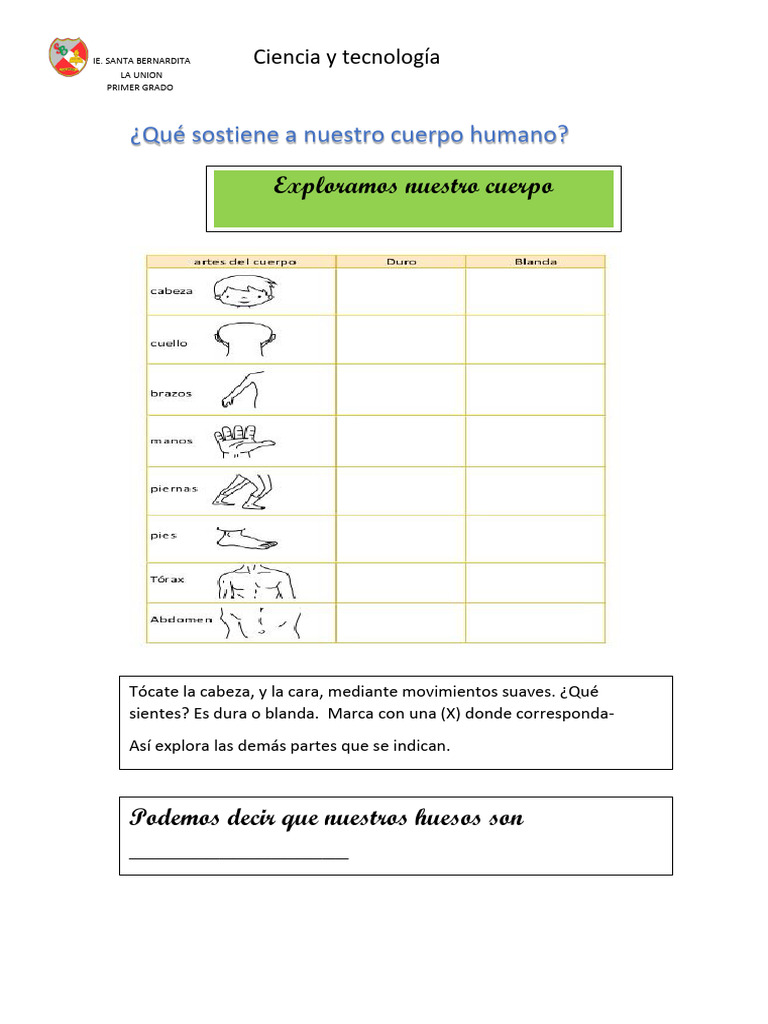 ¿Qué Sostiene A Nuestro Cuerpo Humano? | PDF